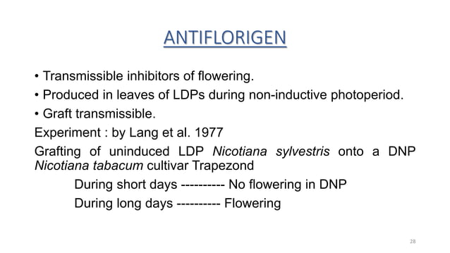 Florigen concept | PPTX