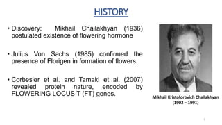 Florigen concept | PPTX