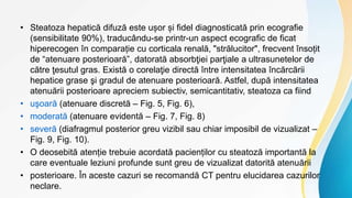 Florin Blagniceanu.pptx