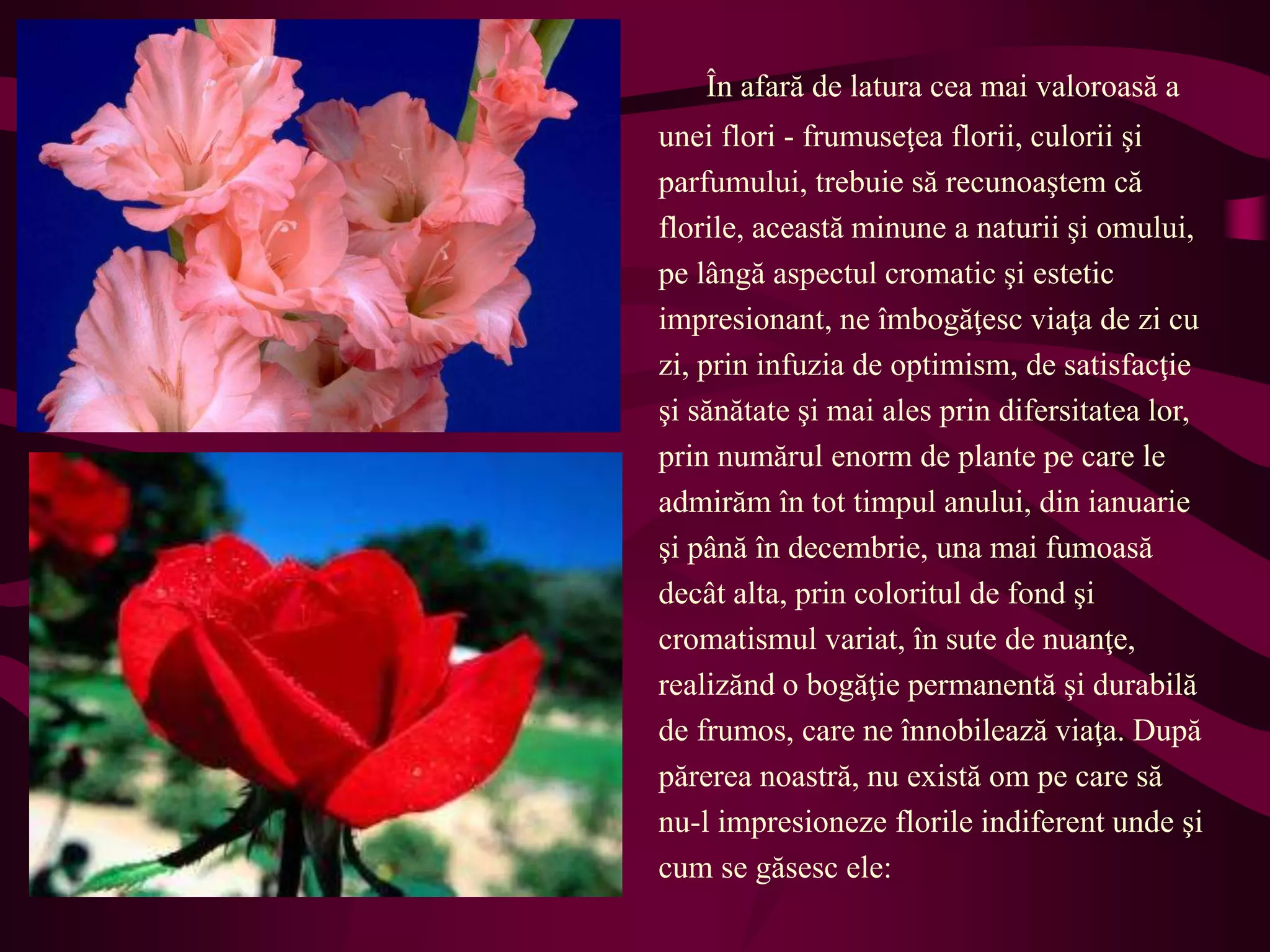Flori Ornamentale.ppt