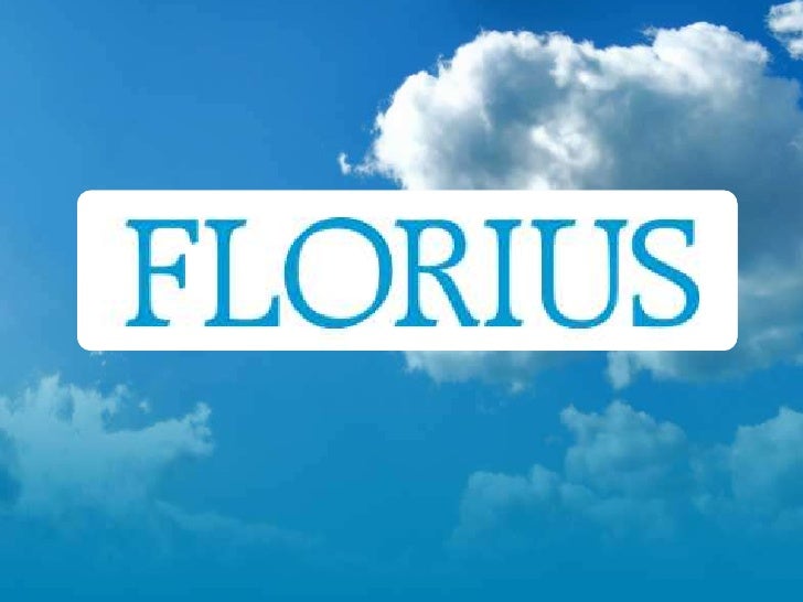 Florius flowers willum van den hoogen a