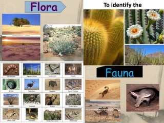 Florra n fauna n life of people in deserts | PPT