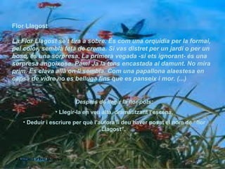 Flors | PPT