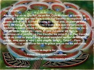 Flors | PPT