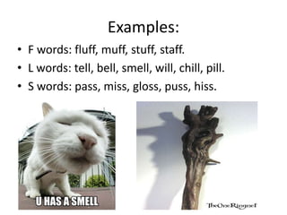 Floss rules by Wendy | PPSX