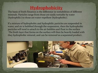 Froth flotation and Denver Flotation Cell | PPT