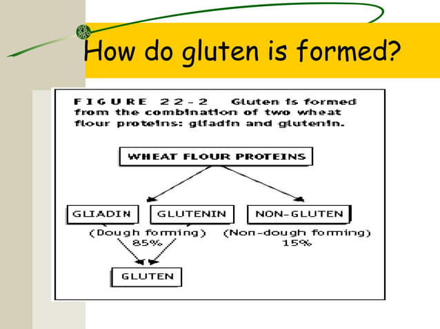 Flour and flour mixtures | PPT | Chemistry | Science