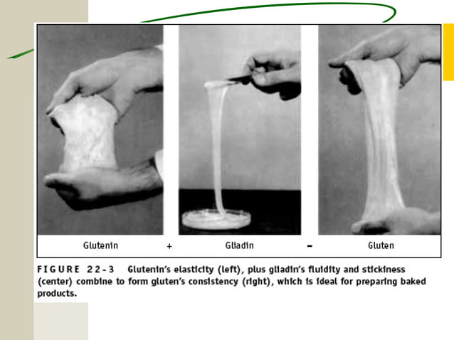 Flour and flour mixtures | PPT | Chemistry | Science