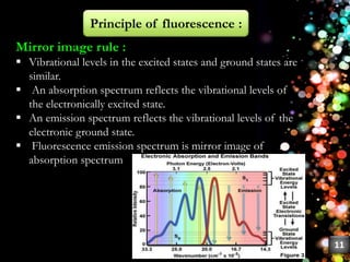 Flourescence | PPTX