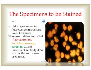 Advanced fluorescent microscopy power point | PPTX