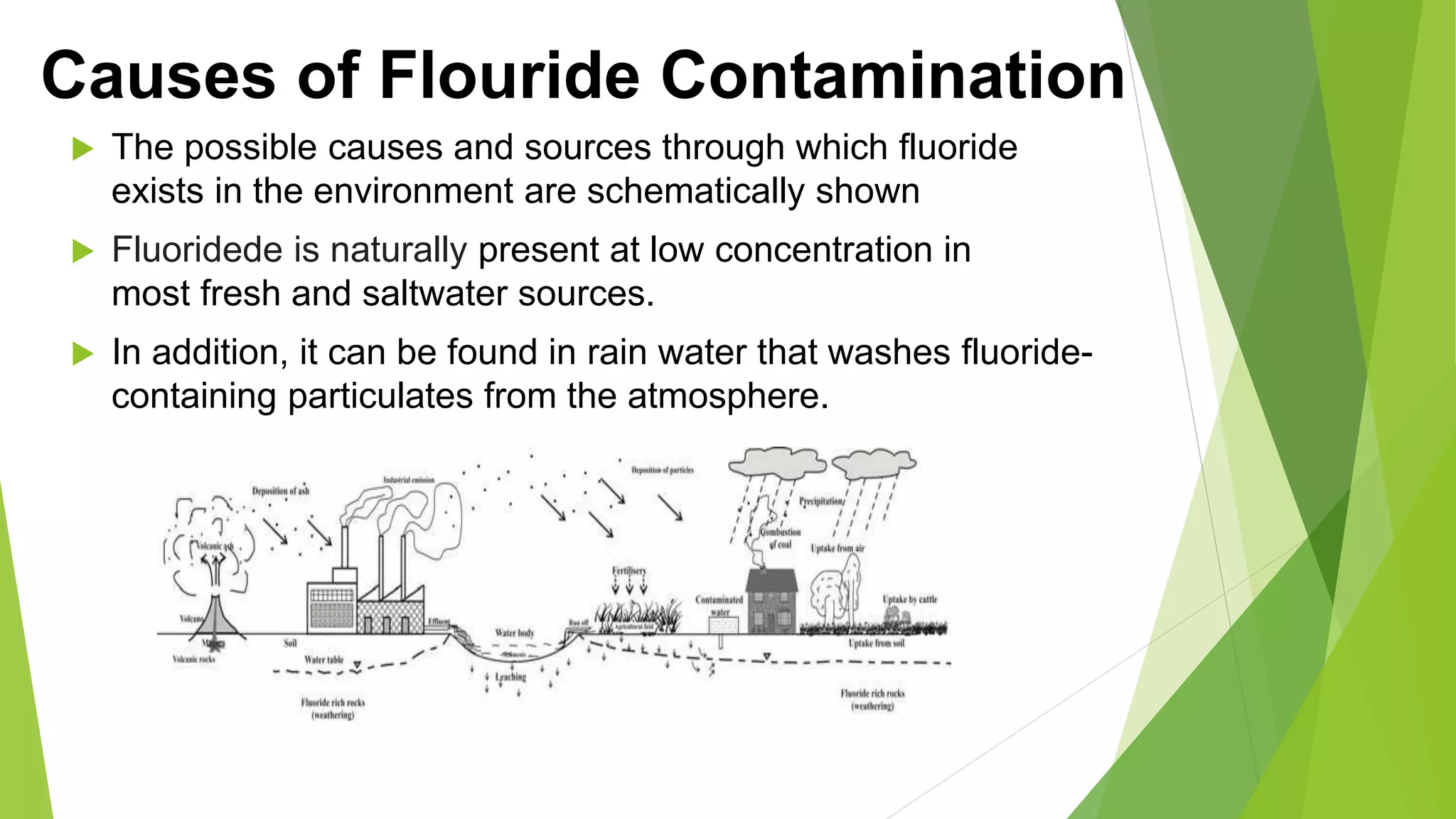 Flouride in ground water. (AMU SEMINAR) | PPTX