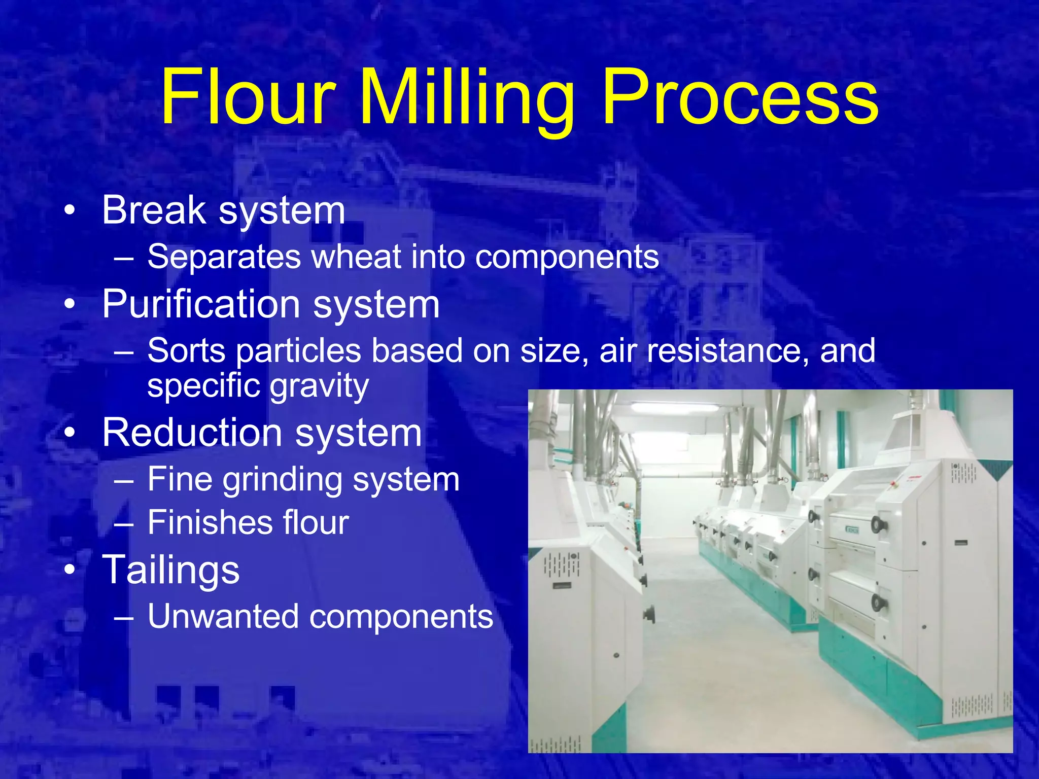 Flour Milling Plant Design | PPT
