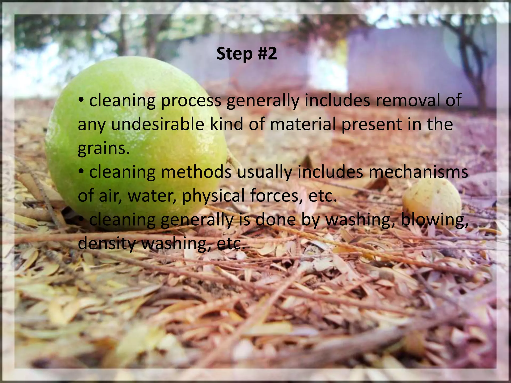 processing of wheat-by madhavi sharma | PPTX