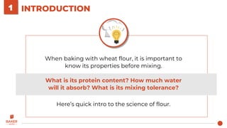 What About My Flour? Flour science in 5 minutes | PPT