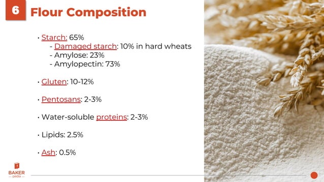 What About My Flour? Flour science in 5 minutes | PDF