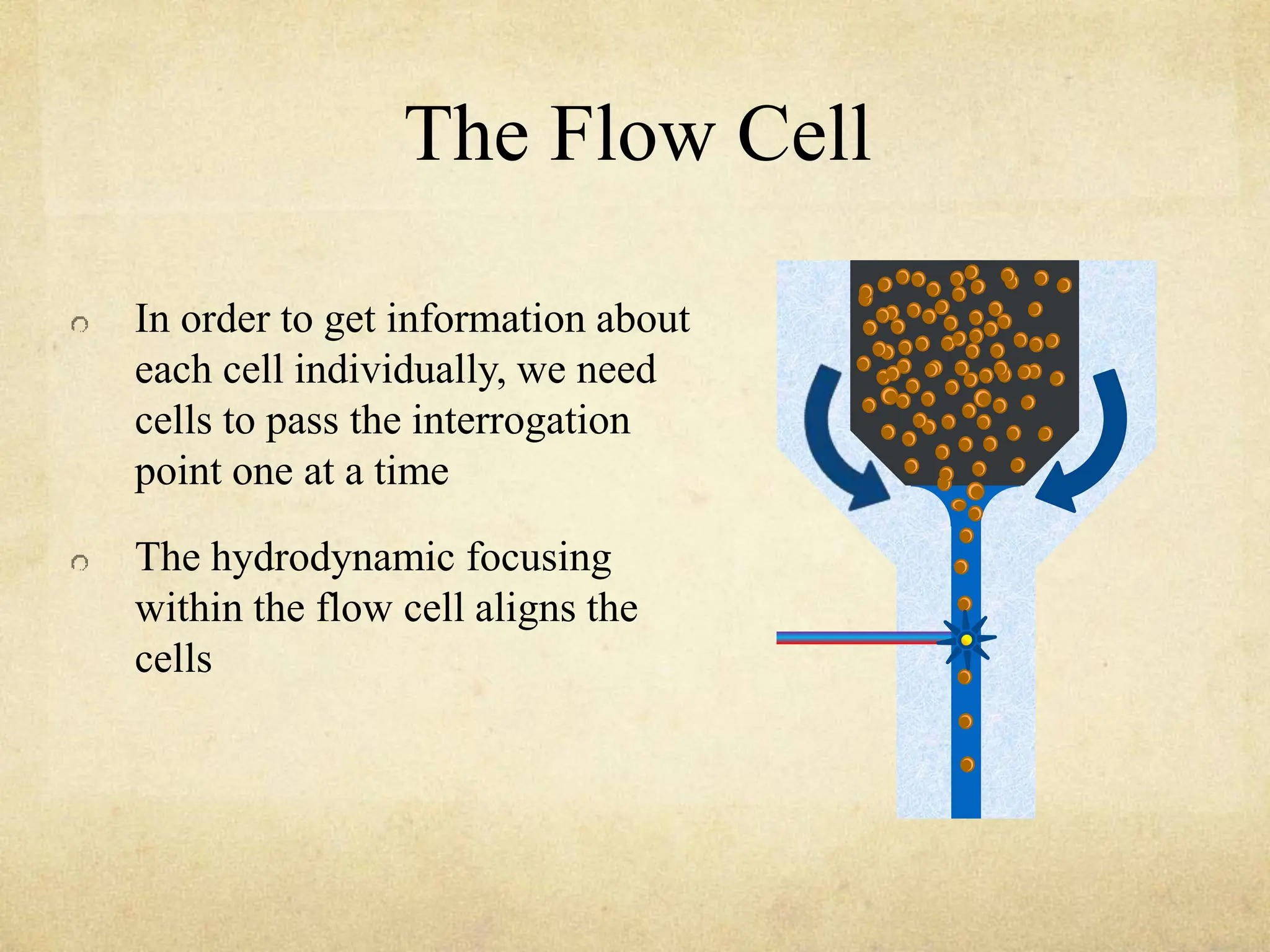 Basic Concepts of Clinical Flowcytometry | PPT
