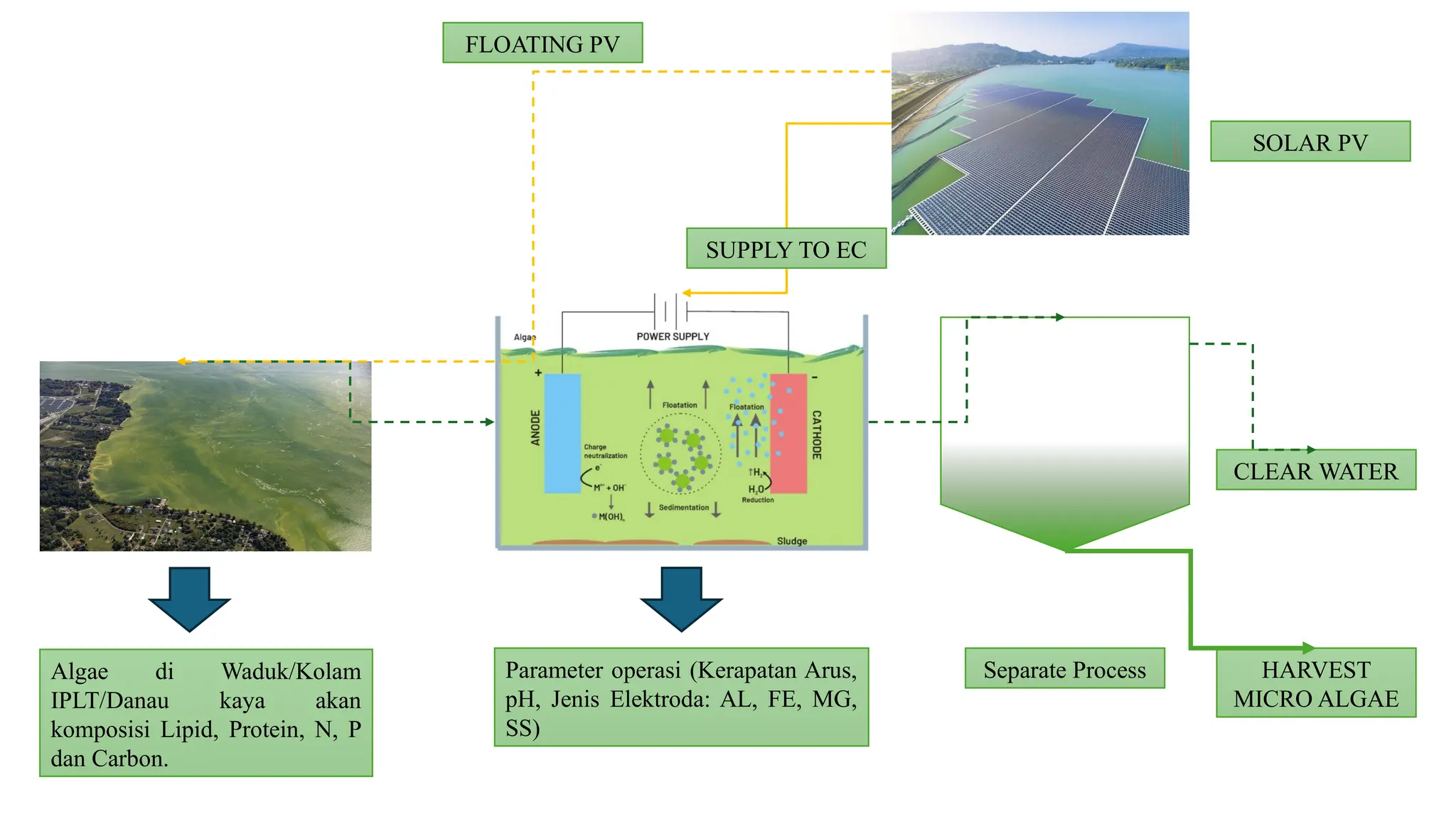 Microalga HArvesting Proses Flow Aperti.pptx