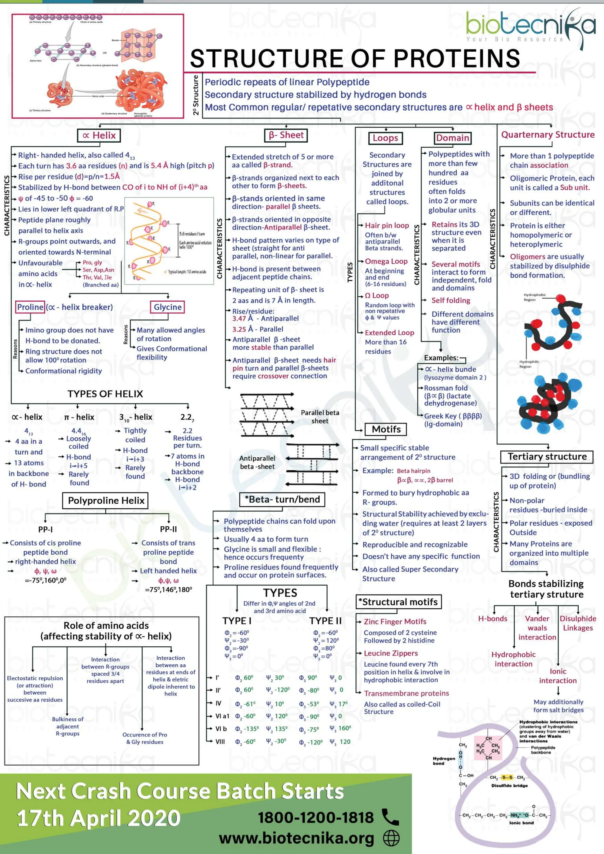 Flow chart.pdf LIFE SCIENCES CSIR UGC NET CONTENT | PDF