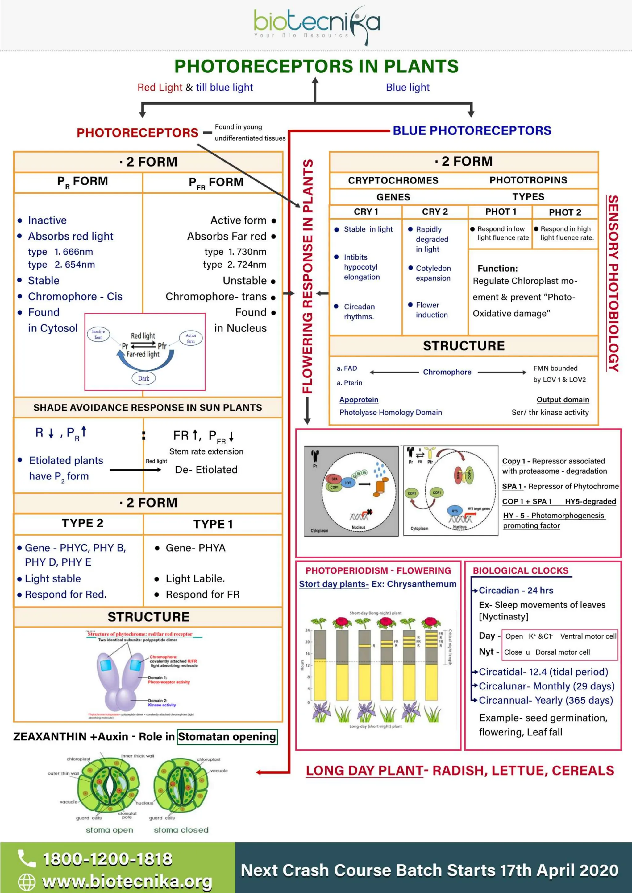 Flow chart.pdf LIFE SCIENCES CSIR UGC NET CONTENT | PDF