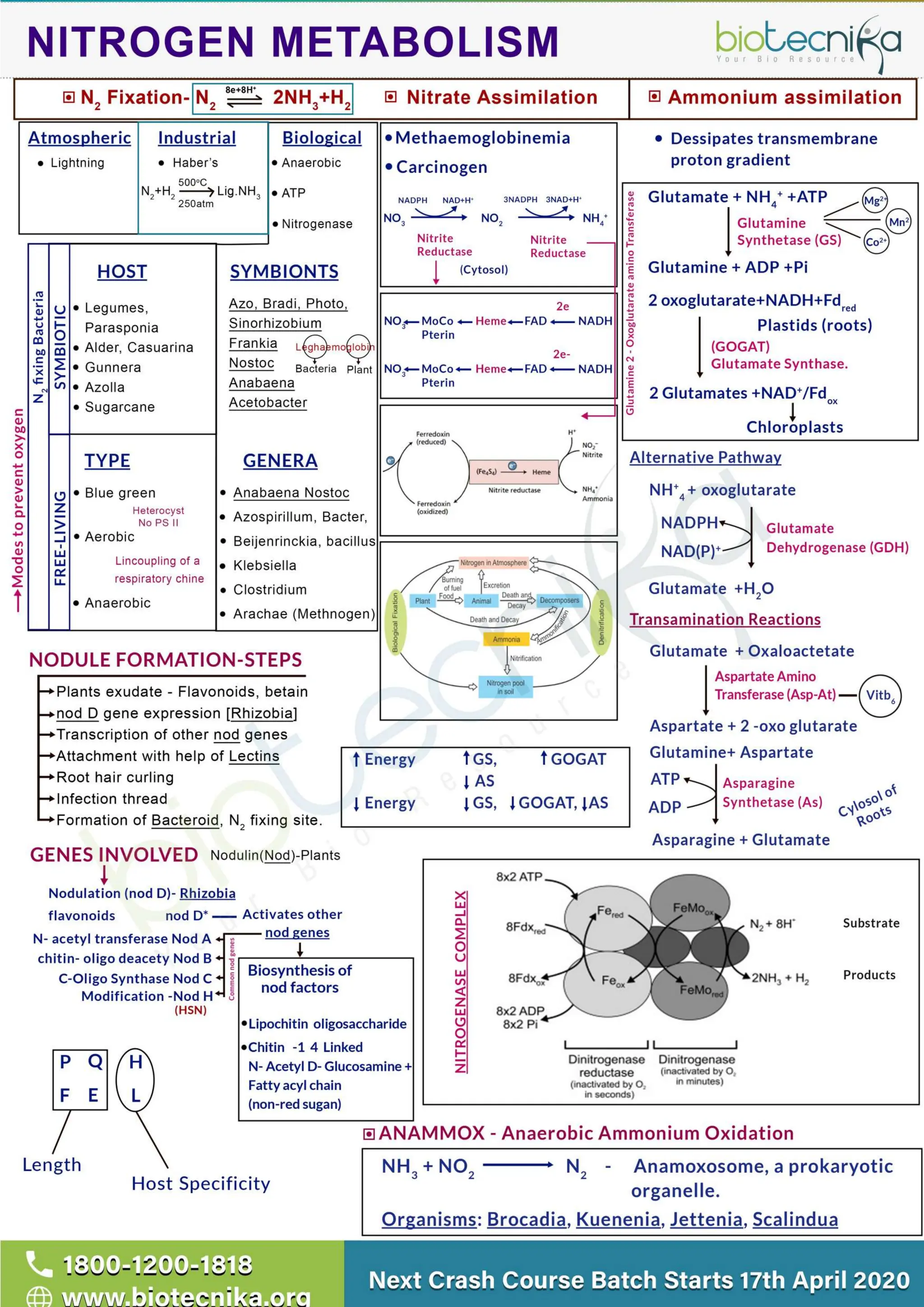 Flow chart.pdf LIFE SCIENCES CSIR UGC NET CONTENT | PDF
