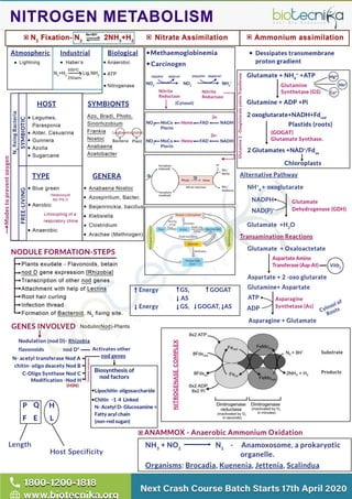 Flow chart.pdf LIFE SCIENCES CSIR UGC NET CONTENT | PDF