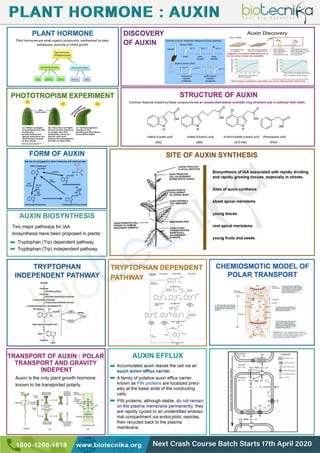 Flow chart.pdf LIFE SCIENCES CSIR UGC NET CONTENT | PDF