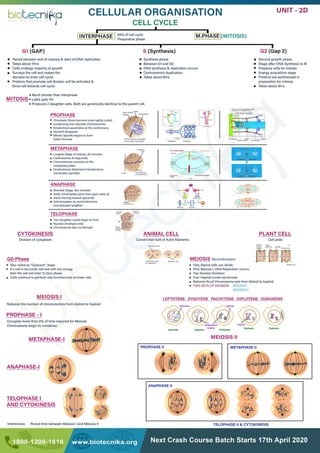 Flow chart.pdf LIFE SCIENCES CSIR UGC NET CONTENT | PDF