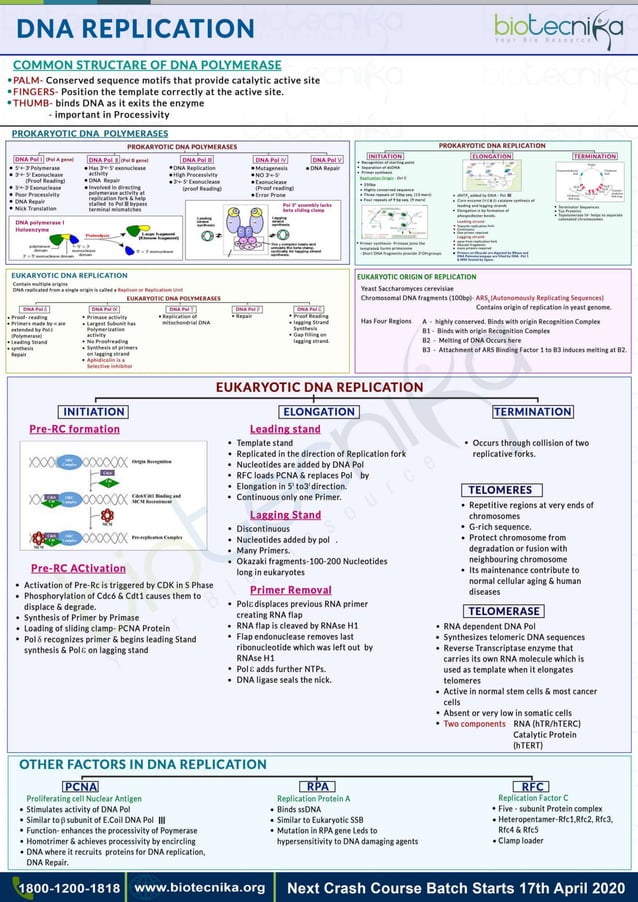Flow chart.pdf LIFE SCIENCES CSIR UGC NET CONTENT | PDF