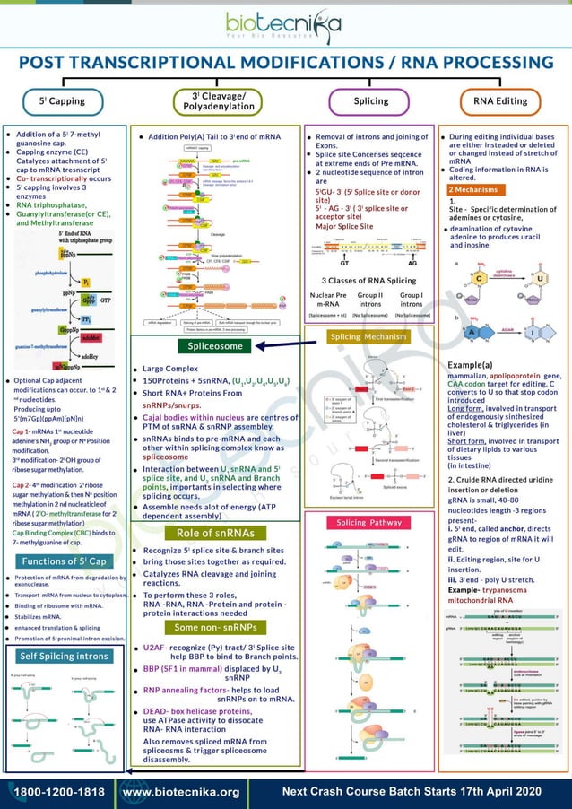 Flow chart.pdf LIFE SCIENCES CSIR UGC NET CONTENT | PDF