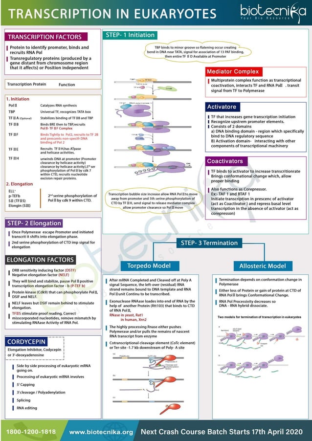 Flow chart.pdf LIFE SCIENCES CSIR UGC NET CONTENT | PDF