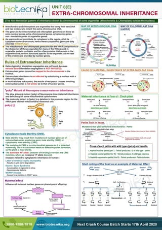 Flow chart.pdf LIFE SCIENCES CSIR UGC NET CONTENT | PDF