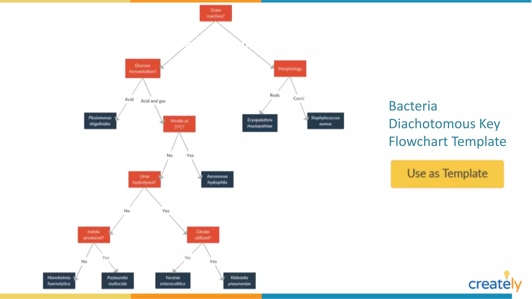 Flowchart Examples with Editable Templates | PPTX