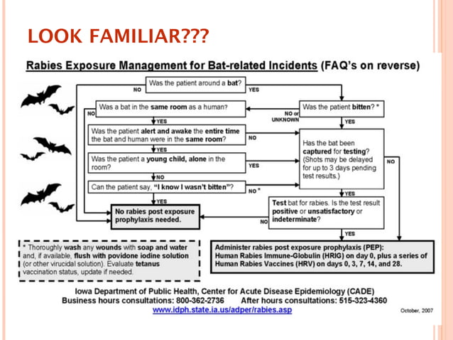 Flow Chart Basics | KEY