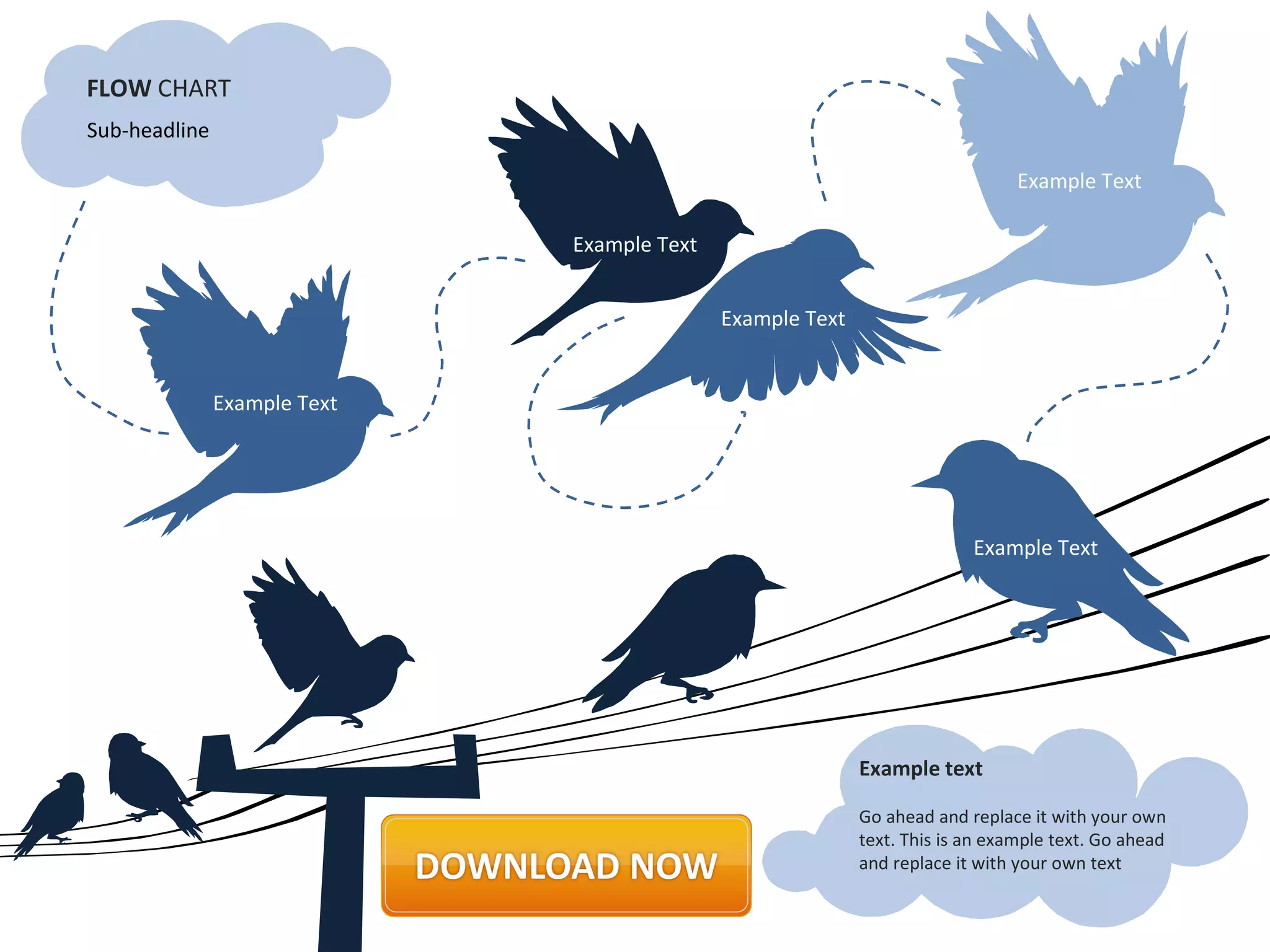 Flow Chart Birds - Animated by Slideshop | PPT