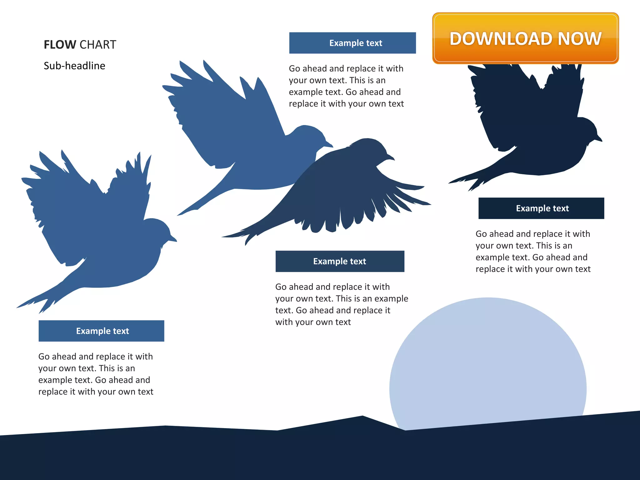 Flow Chart Birds - Animated by Slideshop | PPT