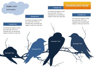 Flow Chart Birds - Animated by Slideshop | PPT