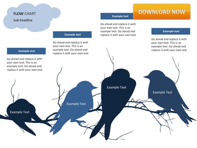 Flow Chart Birds - Animated by Slideshop | PPT