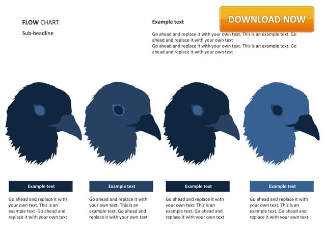 Flow Chart Birds - Animated by Slideshop | PPT