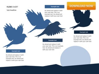 Flow Chart Birds - Animated by Slideshop | PPT