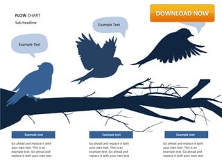 Flow Chart Birds - Animated by Slideshop | PPT