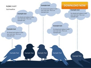Flow Chart Birds - Animated by Slideshop | PPT