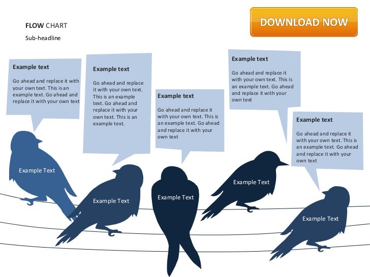 Bird Flow Chart