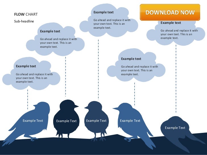 Bird Flow Chart