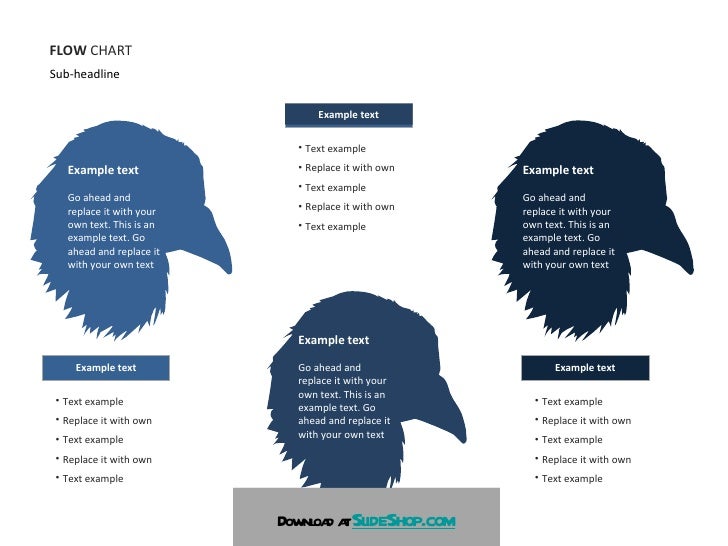 Bird Flow Chart