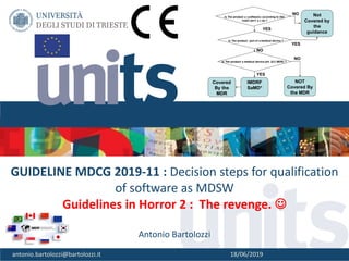 mdcg 2019 11 Decision steps for qualification of software as MDSW | PDF