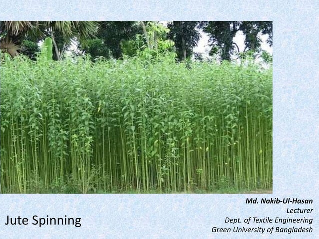 Flow chart of juteyarnmanufacturingprocess 140522095533-phpapp01 | PPTX