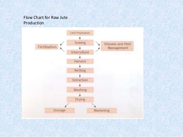Jute Manufacturing Process