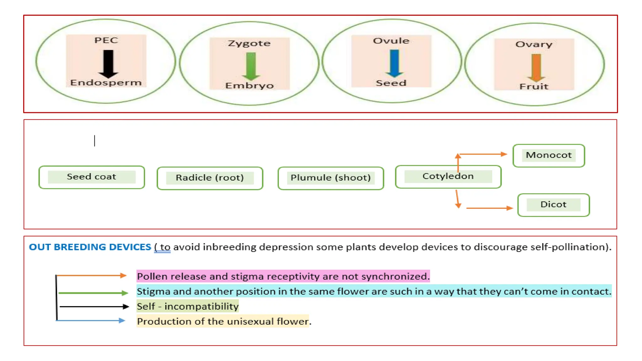 Flow charts XII Sexual reproduction in flowering plants.pptx
