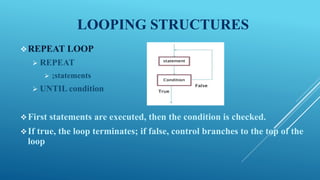 Flow control instructions | PPTX