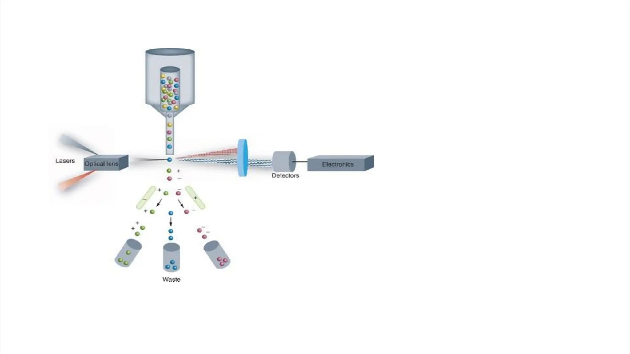 flow cytometer definition, principal, requirements procedure and ...